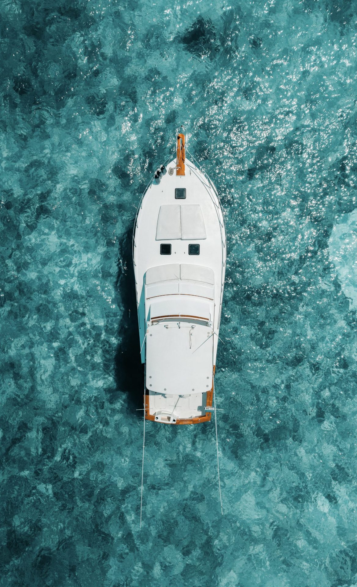 Post 46 Ft – Marlin Fishing Cancun